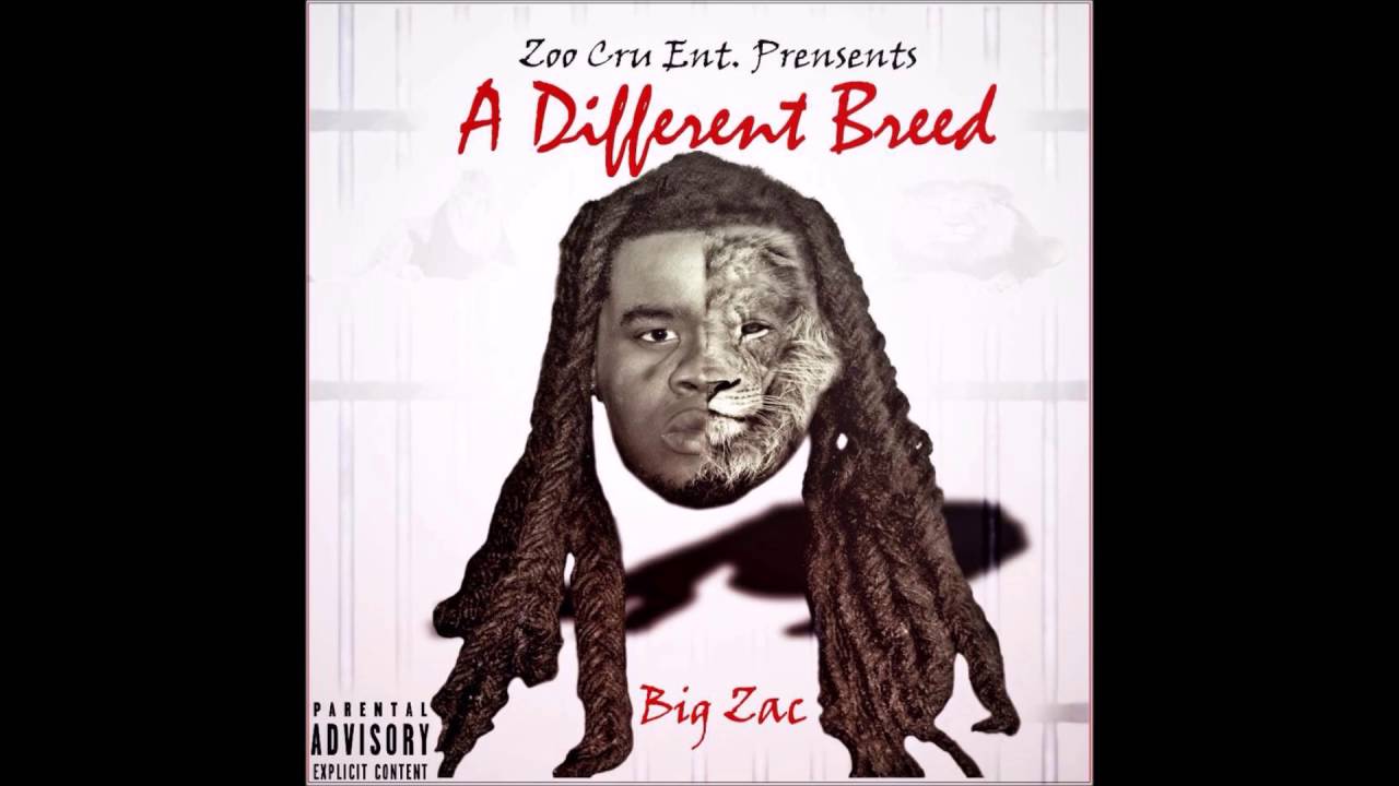 Big Zac - Bim Bim - Revit news